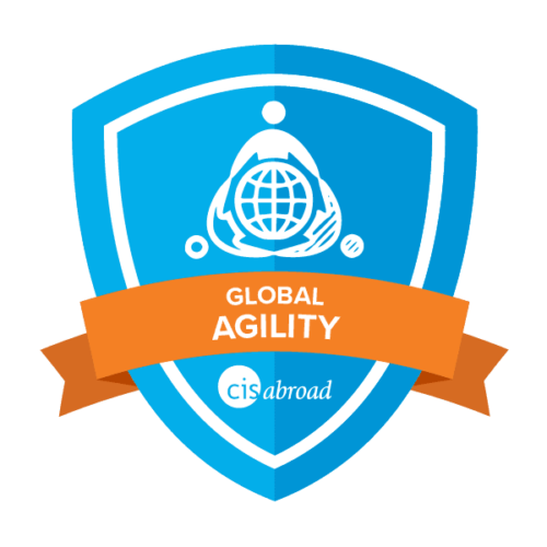Micro-Credential Global Agility